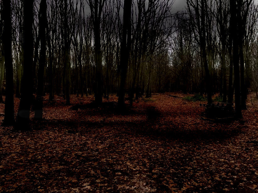 Forest Zombie Experience - Zombie Experiences